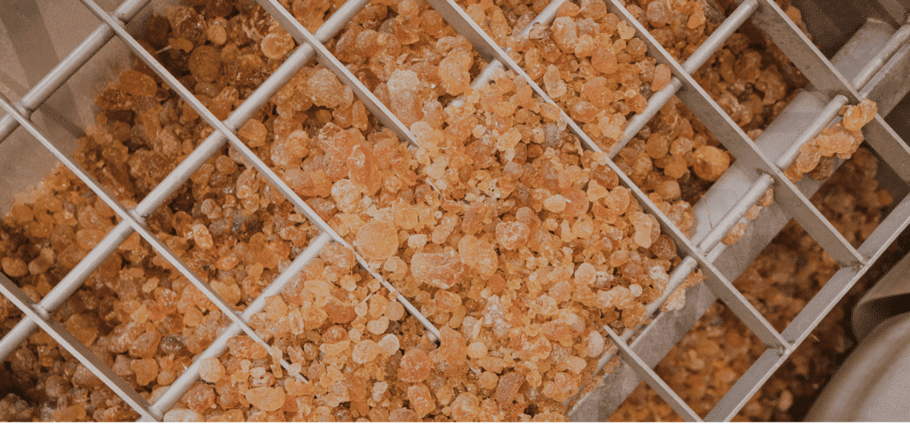 Alland & Robert obtains gold rating from EcoVadis for its CSR ...